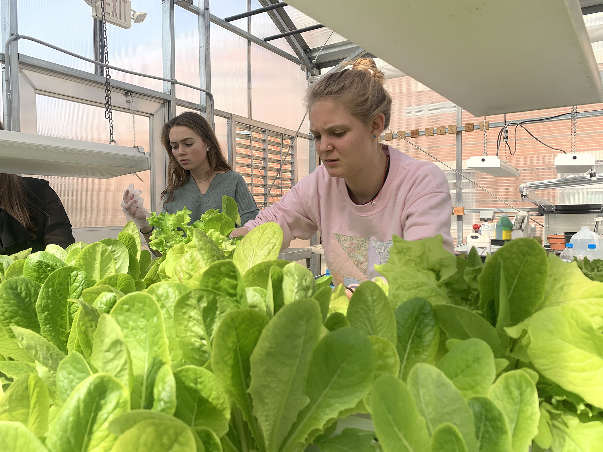 Spring Menu Planning: Utilizing Local Produce & School Garden Harvests ...