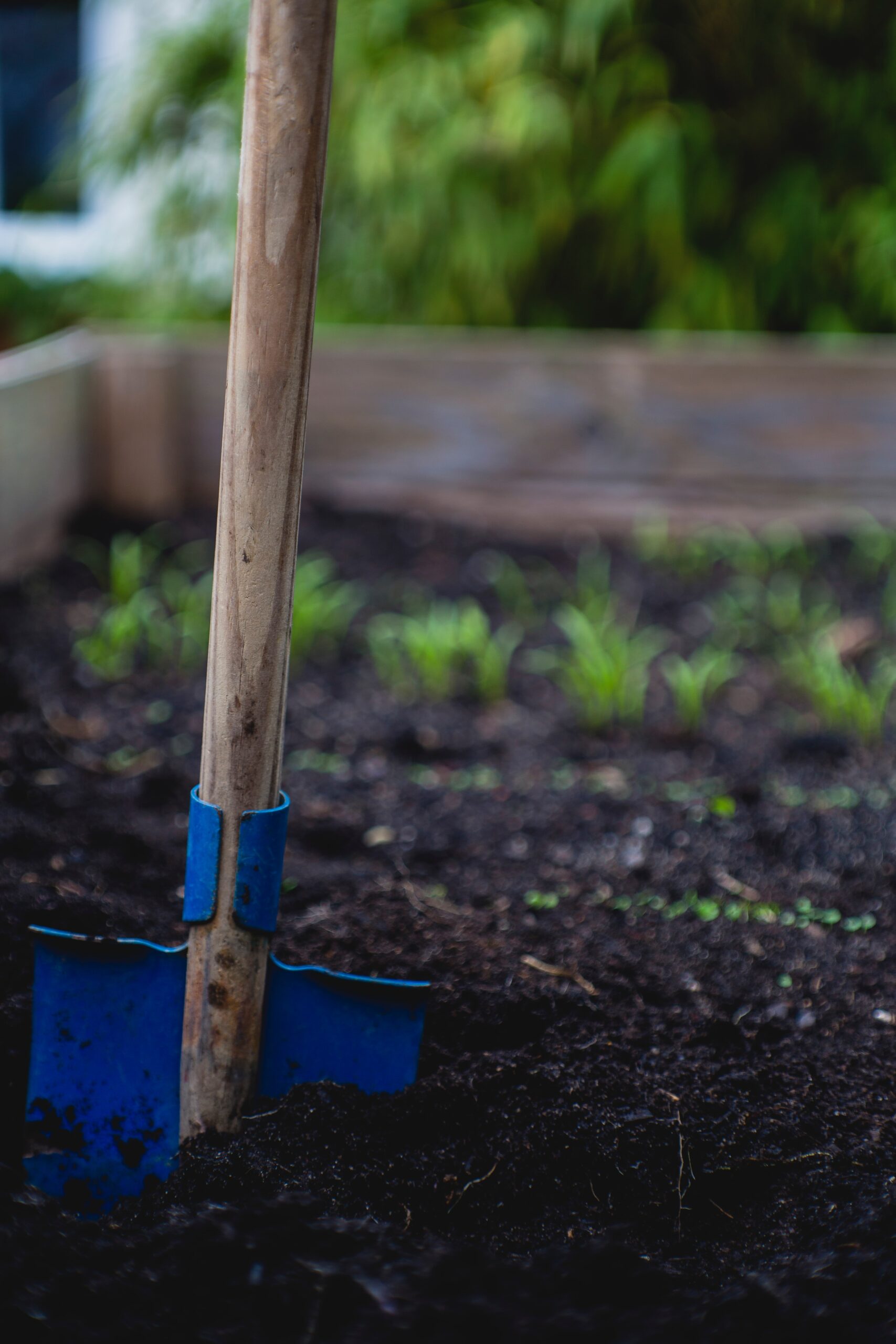 square-foot-garden-planning-massachusetts-farm-to-school